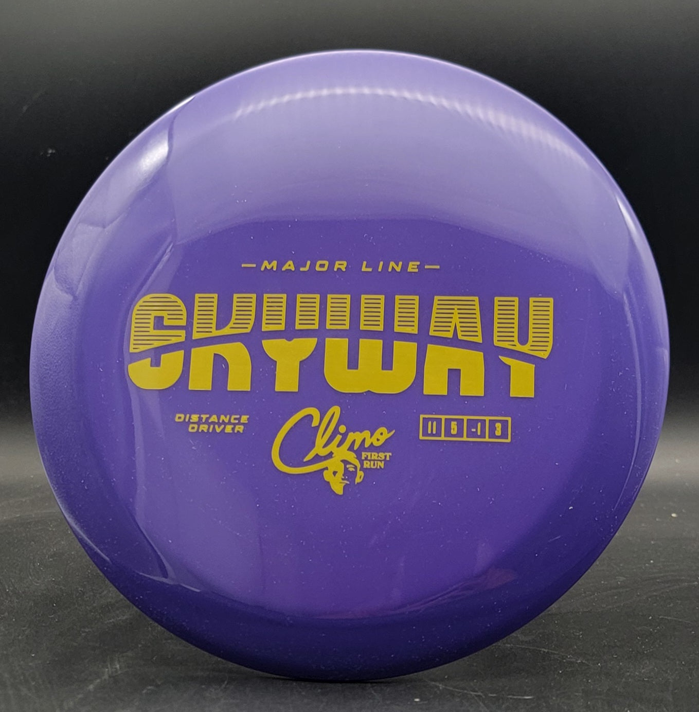 Skyway – IronTurtleDiscs